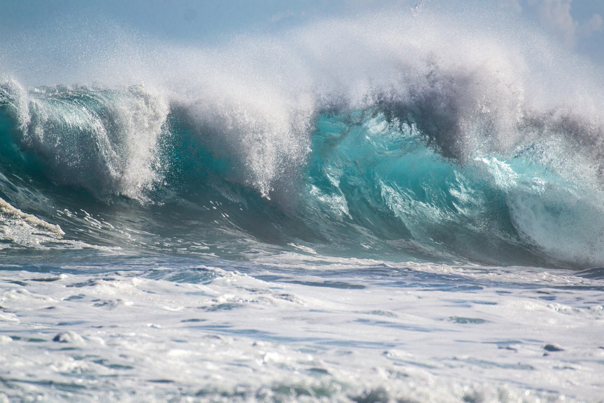 La vague – Au-delà de la performance